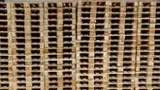 Stock de Euro Palette EPAL en Pin - Bois Rouge neuf/occasion 800 mm ...